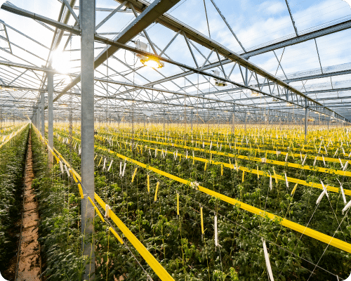 Contact - Fresh Valley