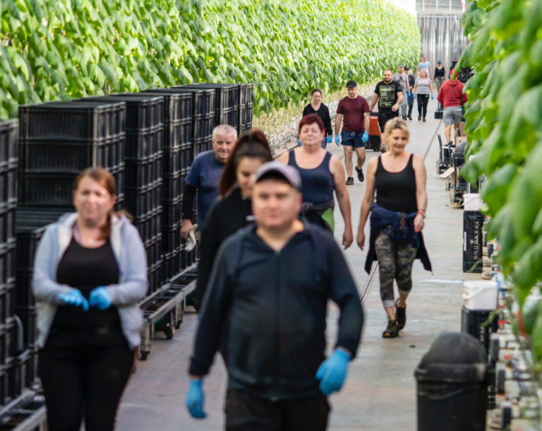 Over ons - Fresh Valley