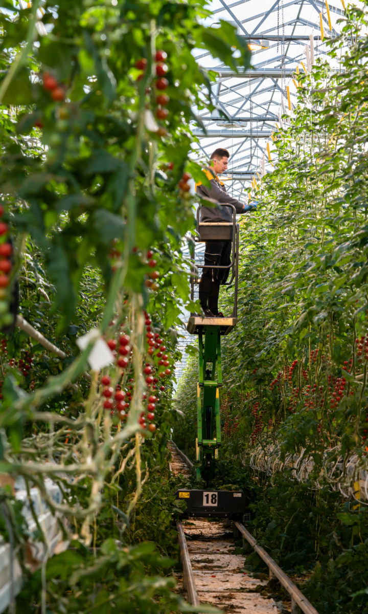 Werken bij - Fresh Valley