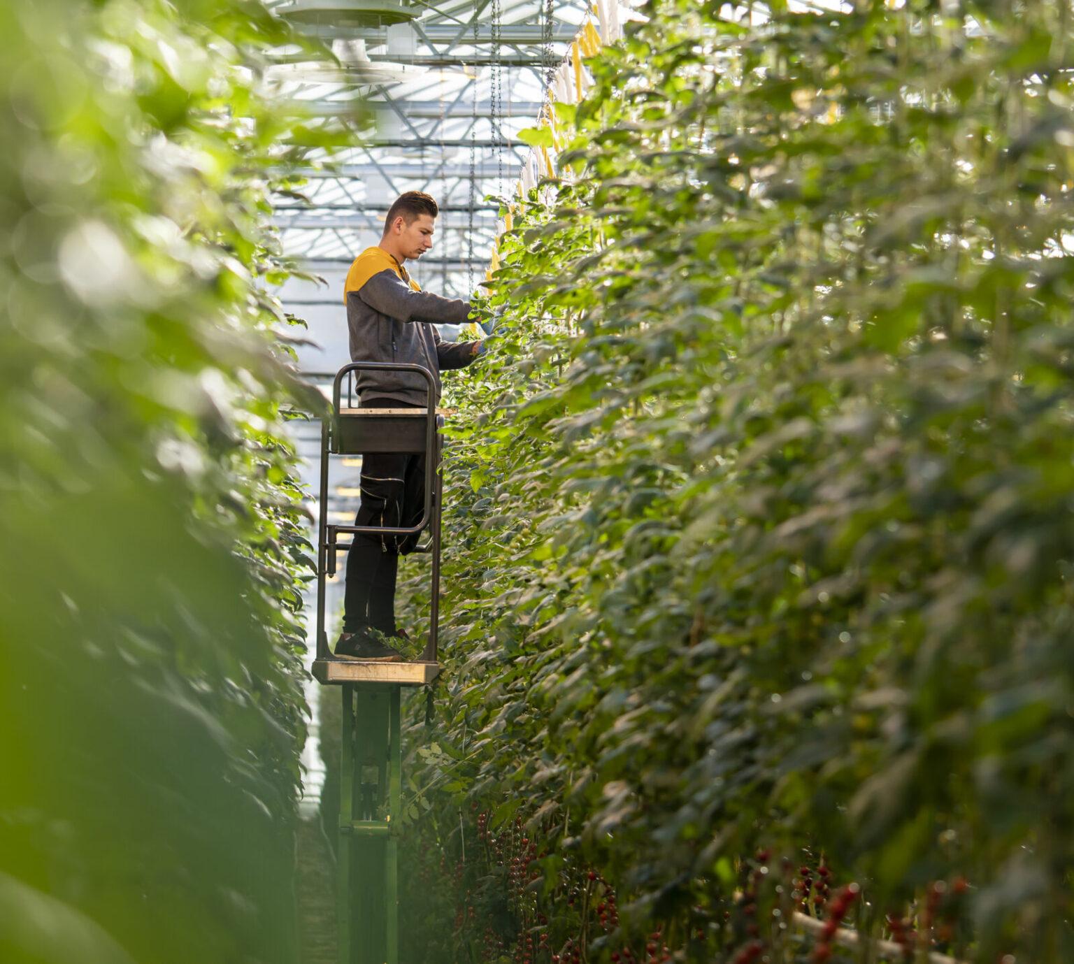 Werken bij - Fresh Valley